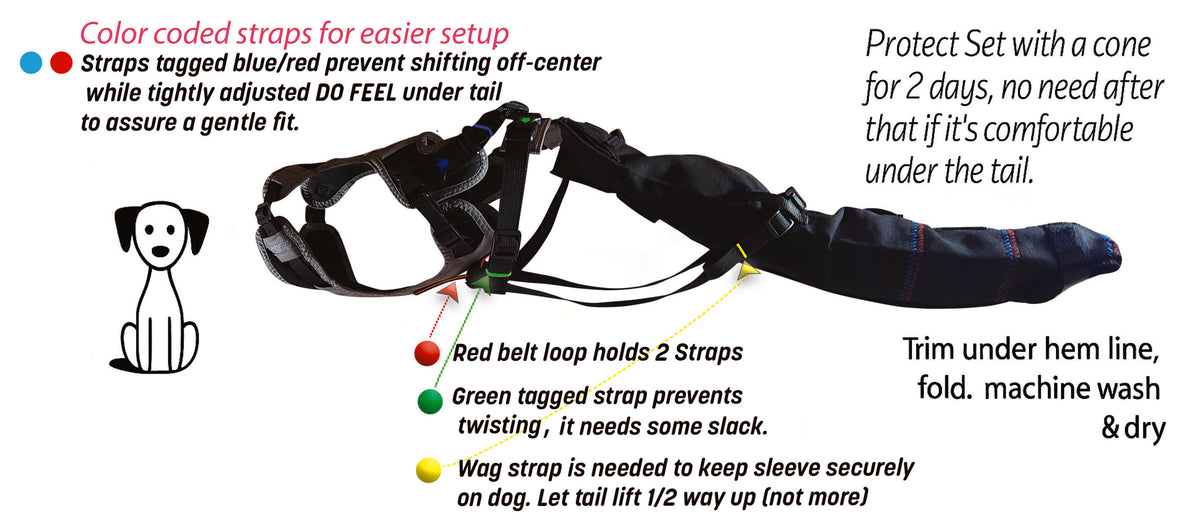K9 TailSaver® | Dog Tail Protector & Happy Tail Syndrome Treatment ...