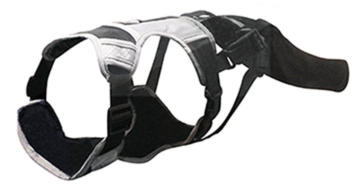 K9 TailSaver Dog Tail Protector | Stop Re-Injury – Happy TailSaver